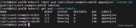kubernetes集群编排——控制器 csdn博客