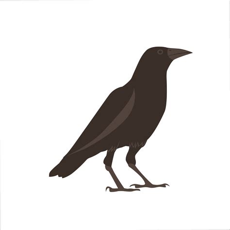Crow Flat Color Clip Art Design 3235659 Vector Art At Vecteezy