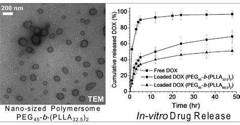 Polymersome Formation From Ab2 Type 3 Miktoarm Star Copolymers Macromolecules