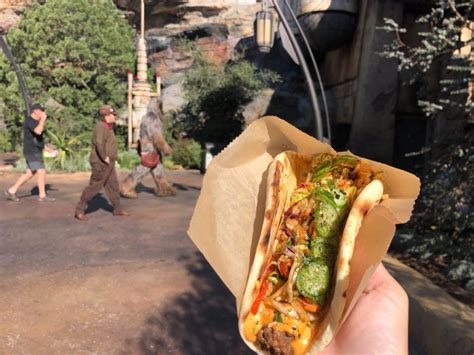 Review New Ronto Less Garden Wrap Featuring Impossible Sausage Adds