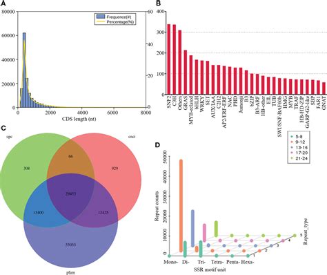 Frontiers A Pacbio Single Molecule Real Time Sequencing Based Full Length Transcriptome Atlas