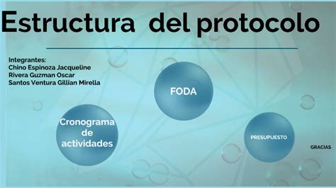 Estructura Del Protocolo By Gillian Santos