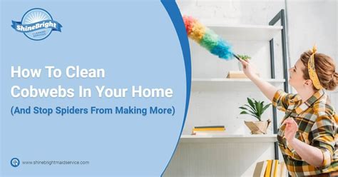 How To Clean Cobwebs In Your Home And Stop Spiders From Making More Shine Bright Maid Services