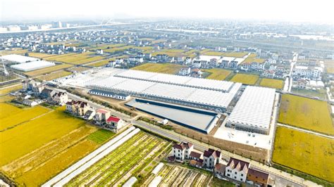 助力农业农村高质量发展浦东再添3个市级乡村振兴示范村 桥北 建设 惠南镇