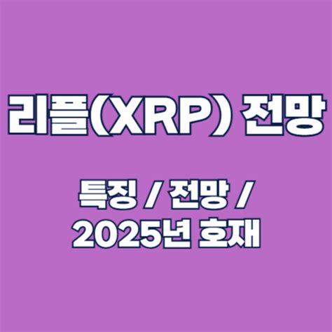 2025 리플xrp 전망 Sec 소송 종료 전 마지막 매수 기회