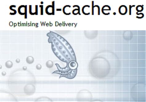Squid 代理伺服器 通透式代理 Transparent Proxy FAQ Book