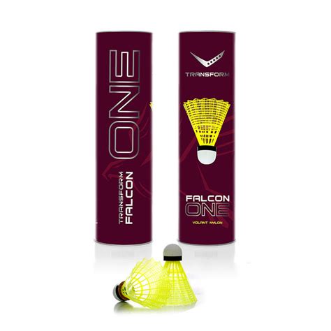 Transform Badminton