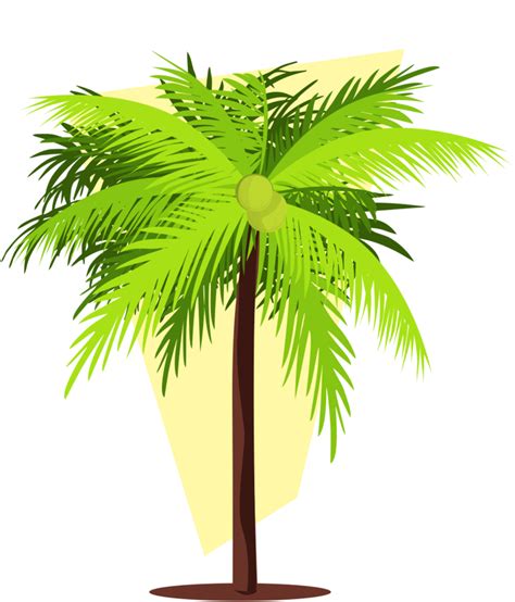 Coconut Tree Vector Art At Vecteezy