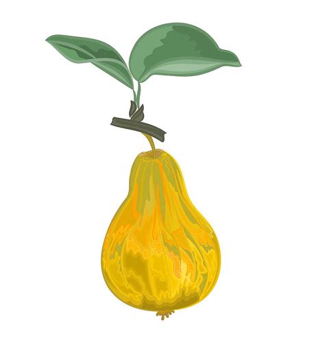 배 황록색 및 시트 벡터 Ai Eps Uidownload