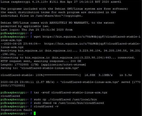 Segmentation Fault Rpihole