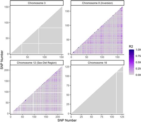Visualization Of Pairwise Snp Ld Within 4 Of The 24 Atlantic Halibut Download Scientific