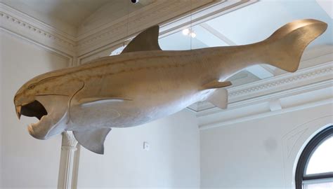 Favorite Extinct Placoderm The Dunkleosteus The Worley Gig