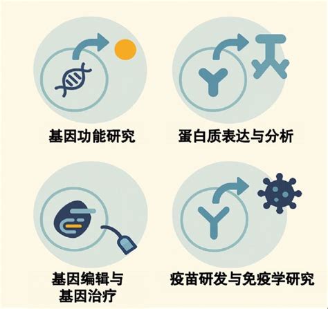 细胞转染的定义、分类以及常见的转染方法 生物器材网