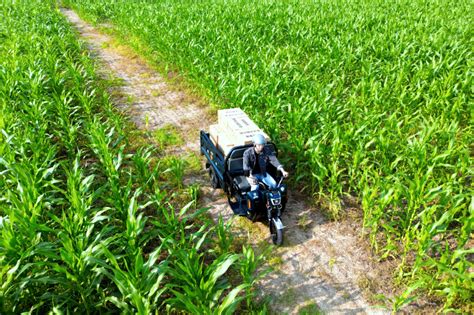 Electric Cargo Trikes For Businesses Top Faqs Demystified Jinpeng Electric Tricycle