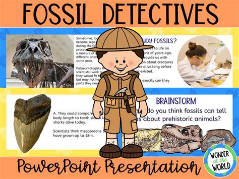What Do Fossils Tell Us At Johnny Moe Blog