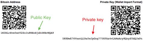 Should You Use A Hot Or Cold Wallet To Safely Store Your Cryptocurrencies Swim Trading