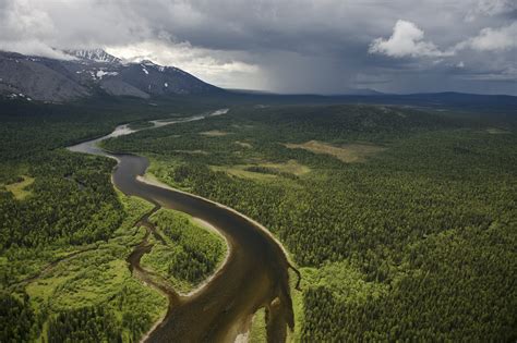 5boreal Forest Ural Russia Polemics