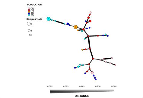 Minimum Spanning Network Based On Bruvos Distance Each Node On The Download Scientific