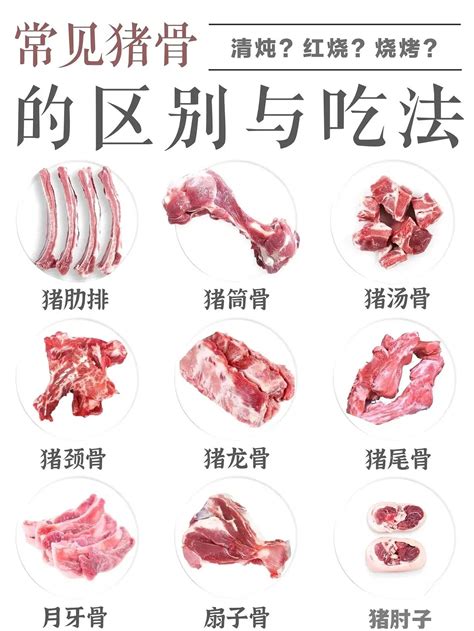常见猪骨的区别与吃法 搜狐大视野 搜狐新闻