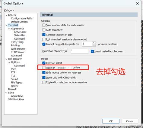securecrt取消右键自动粘贴 csdn博客