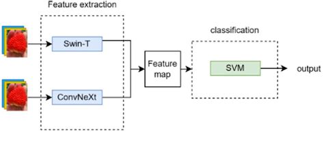 Figure 1 From Research On Strawberry Quality Grading Based On Object Detection And Stacking