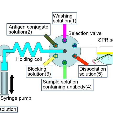 Sequential Injection System With Surface Plasmon Resonance Sensor For Download Scientific
