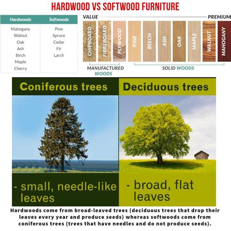 Hardwood Trees Examples