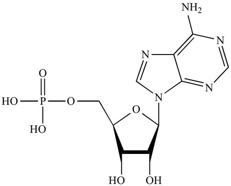 Adenosine Structure
