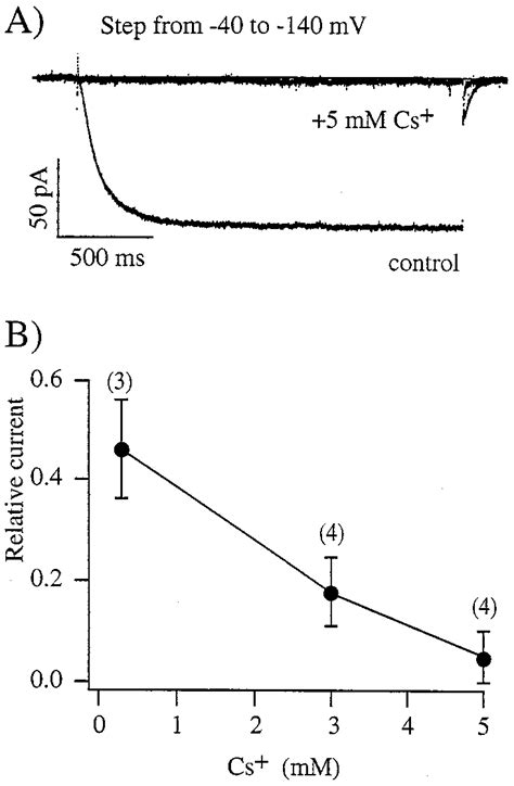 External Cscl Blocks Hyperpolarization Activated Currents A Currents Download Scientific