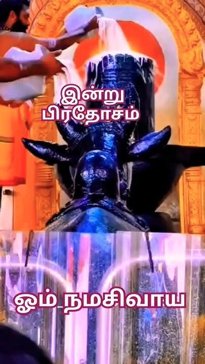 Bakthi பக்தி இன்று பிரதோசம் ஓம் நமசிவாய🙏 Like Share Shorts Youtube