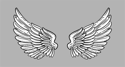 Angel Wings Vector Outline