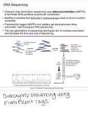 Automated DNA Sequencing Techniques Demystified Course Hero