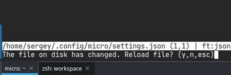 The File On Disk Has Changed Issue 2531 Zyedidia Micro GitHub