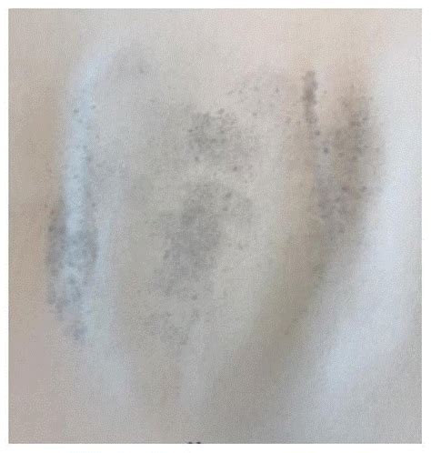 一种剥离式面膜及其制备方法与流程