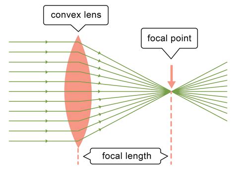 Explain With The Help Of A Diagram Why The Convex Lens Is Convex Lens