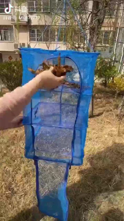 คอนโดตากปลา ที่ตากอาหาร 4 ชั้น มุ้งตากอาหาร พร้อมซิปปิดกันแมลง มี2แบบให้เลือก Shopee Thailand