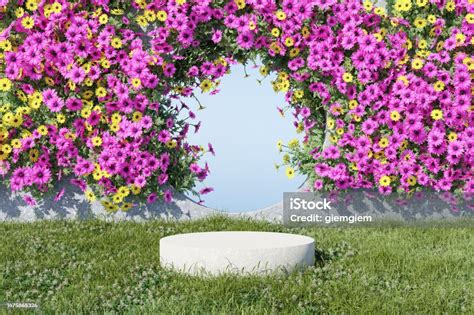 Abstact 3d 렌더링 봄 장면 및 자연의 아름다움 연단 배경 잔디밭의 돌 연단 제품 디스플레이 광고 화장품 등을 위한 분홍색 꽃 아치 문 꽃 식물에 대한 스톡 사진 및