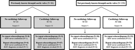 Follow Up Patterns In Patients Diagnosed With Bicuspid Aortic Valve By Download Scientific