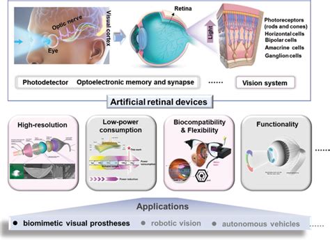 Artificial Retinal Devices For Visual Prostheses Robotic Vision Download Scientific Diagram