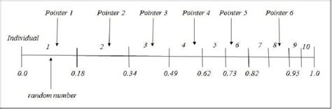 Stochastic Universal Sampling Download Scientific Diagram