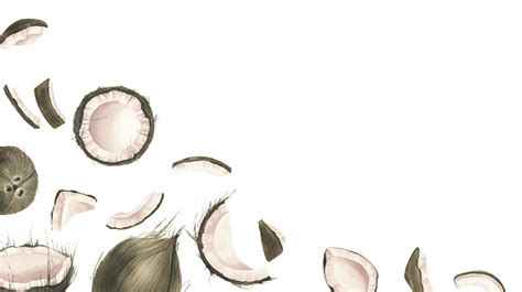 코코넛과 조각을 완전히 쪼개고 나눕니다 수채화 그림 코코넛 컬렉션의 배너 초대장 인증서 제품 화장품 메뉴의 등록 및 디자인 0명에 대한 스톡 벡터 아트 및 기타 이미지