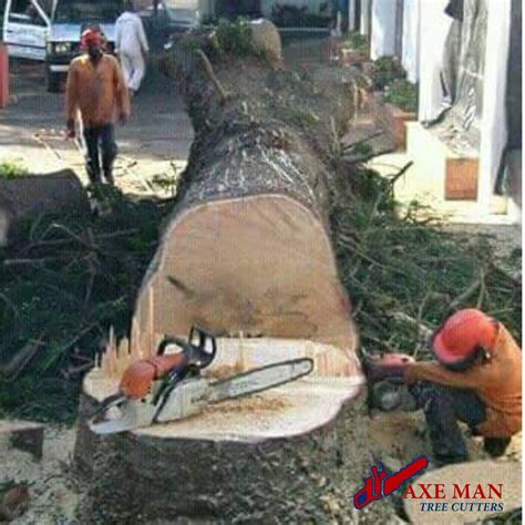 Axe Man Tree Axeman Tree Cutters And Landscaping Namibia
