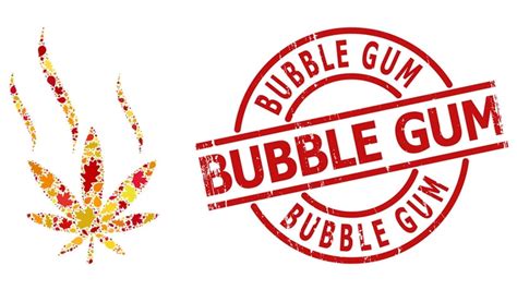 The Three Bubble Gums Arrived On Time Serious Seeds