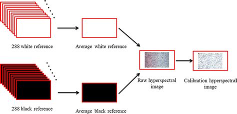 Schematic Of Hyperspectral Image Calibration Download Scientific Diagram