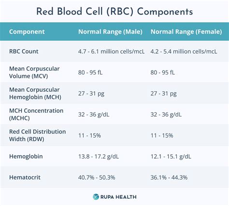 How To Interpret CBC Results A Comprehensive Guide