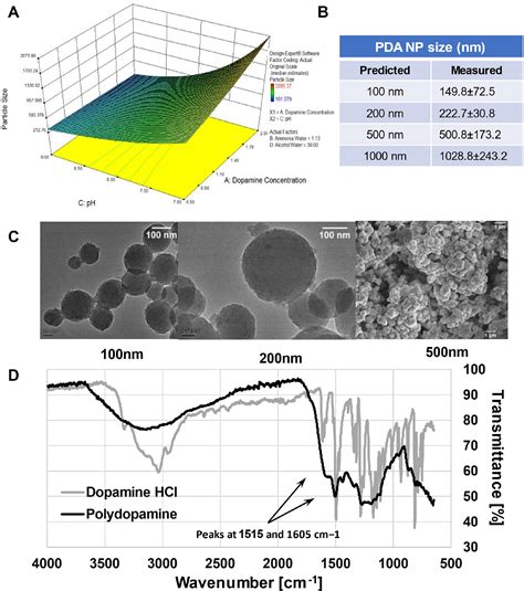 Polydopamine Nanoparticles And Hyaluronic Acid Hydrogels For Mussel