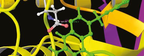 Interaction Profile Of Folic Acids And Guanine Deaminase In The Download Scientific Diagram