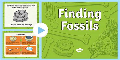 Finding Fossils PowerPoint Teacher Made Twinkl