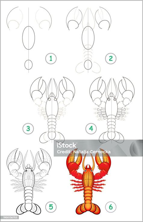 어린이를 위한 교육 페이지는 귀여운 랍스터를 그리는 방법을 단계별로 배우는 방법을 보여줍니다 학교로 돌아 가기 아이들의 그림 그리기와 색칠 기술 개발 벡터 만화 이미지입니다