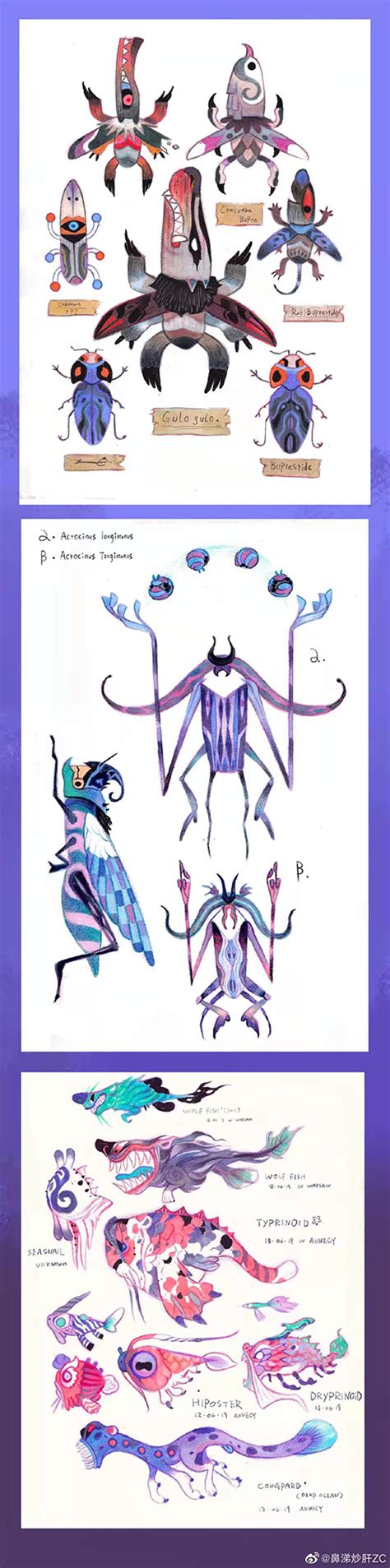 鼻涕炒肝 玩动画官方网站真速率